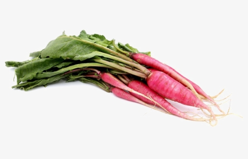 Radish Png Image - Shunkyo Radishes , Free Transparent Clipart - ClipartKey