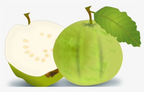 Jambu Vector , Free Transparent Clipart - ClipartKey