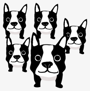 Boston Terrier French Bulldog - Boston Terrier Face Outline , Free ...