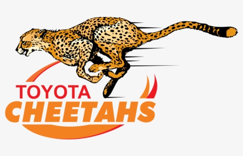 Cheetahs Rugby Logo - Cheetahs Rugby Png , Free Transparent Clipart ...