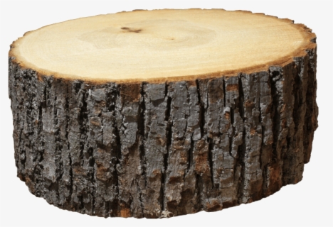 Download Tree Log Fallen - Cartoon Log Transparent Background - ClipartKey