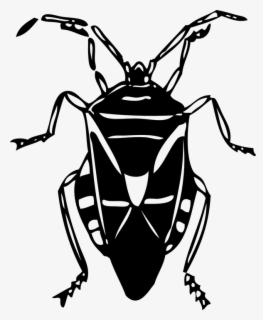 Lightning Bug Clip Art , Free Transparent Clipart - ClipartKey