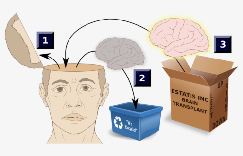 Overall Scheme - Brain Swap Deviantart , Free Transparent Clipart ...
