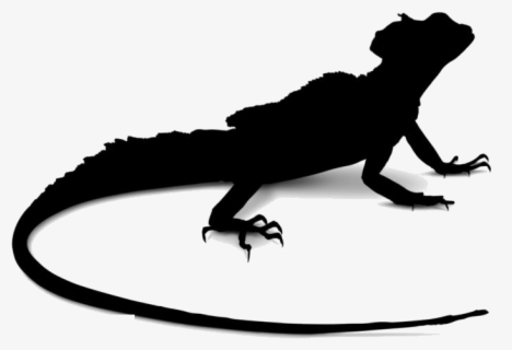 Free Lizard Clip Art with No Background - ClipartKey
