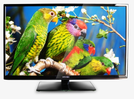 Led Television Png Clipart - Led Tv Clipart Png , Free Transparent ...