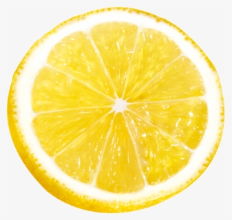 Free Lemon Slice Clip Art with No Background - ClipartKey