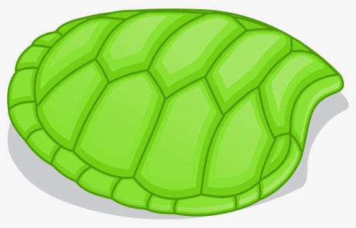 Simple Turtle Shell Pattern , Free Transparent Clipart - ClipartKey