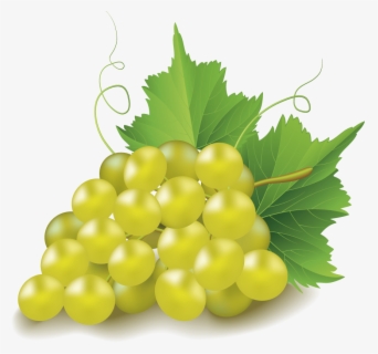 Free Grapes Clip Art with No Background - ClipartKey