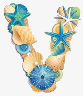 Seashell Alphabet , Free Transparent Clipart - ClipartKey