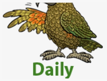 Kea Clip Art , Free Transparent Clipart - ClipartKey