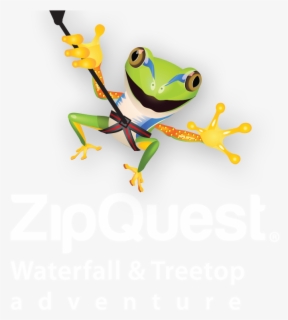 Transparent Zipline Png - True Frog , Free Transparent Clipart - ClipartKey