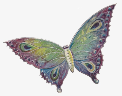 Wedding Card Butterfly Clip Art , Free Transparent Clipart - ClipartKey