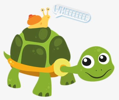Snail On Turtle Whee , Free Transparent Clipart - ClipartKey