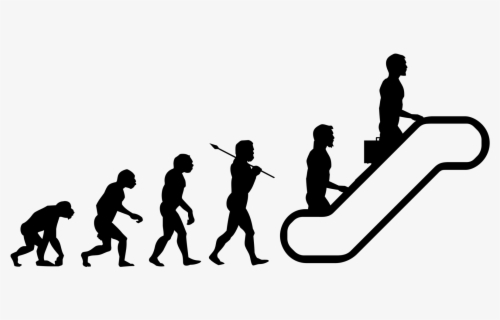 Evolution Transparent Clip Art Clip Art Free Download - Born To Play ...