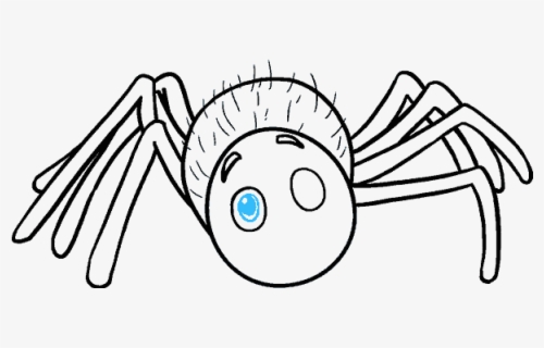 How To Draw Cartoon Spider - Draw A Cartoon Spider , Free Transparent ...