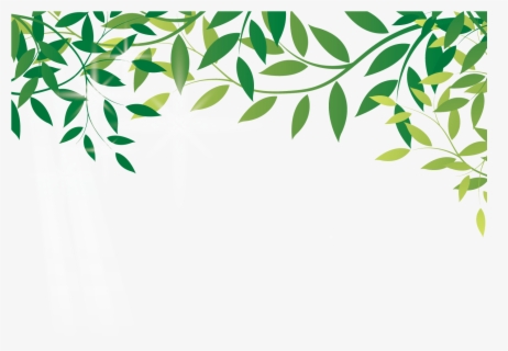 Amazon Rainforest Png File - Amazon Rainforest Frame Transparent , Free ...