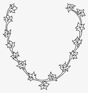 Transparent Ivy Png - Line Art , Free Transparent Clipart - ClipartKey