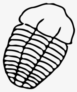 Trilobite, Fossil - Neck Deep Logo Png , Free Transparent Clipart ...