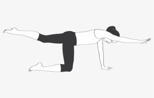 Pilates Yoga Stretching - Pilates Png Silhouette , Free Transparent ...