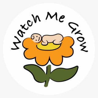 Watch Me Grow , Free Transparent Clipart - ClipartKey