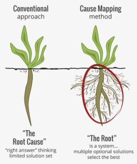 Root Cause Tree Analysis , Free Transparent Clipart - ClipartKey