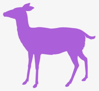 Pink Doe Silhouette , Free Transparent Clipart - ClipartKey