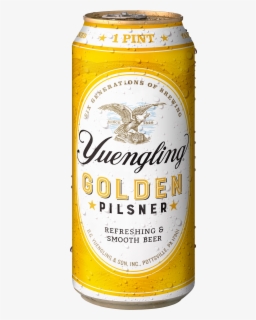 Transparent Yuengling Logo Png - Yuengling Golden Pilsner 24oz Can ...