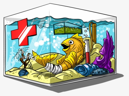 Fish Cartoon Aquatic Animal Clip Art - Dolphin Cartoon No Background ...