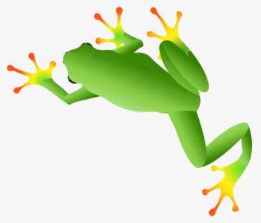 Free Tree Frog Clip Art with No Background - ClipartKey