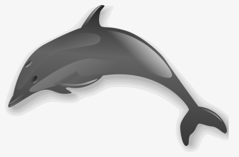 Cartoon Animation Dolphin Transprent Png - Animated Dolphin Images Png ...