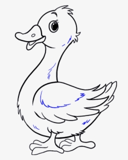 How To Draw Duck - Pato Fácil De Dibujar , Free Transparent Clipart ...