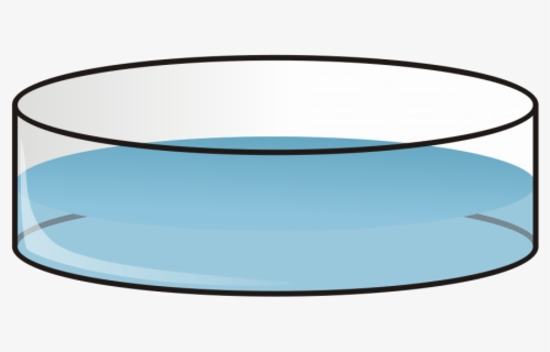 Petri Dish Clipart, Vector Clip Art Online, Royalty - Petri Dish Clip ...