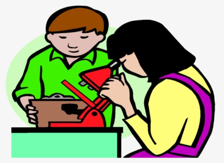 Clipart Classroom Observation Observation Teacher , Free Transparent ...