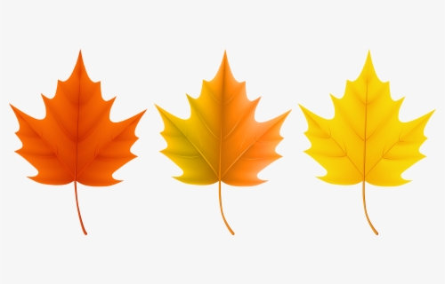 Autumn Leaf Color Clip Art - Fall Leaves Clip Art , Free Transparent ...