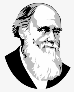 Easy To Draw Charles Darwin , Free Transparent Clipart - ClipartKey