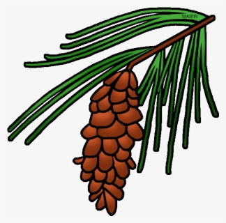 Minnesota State Tree - Cartoon Pine Cone Png , Free Transparent Clipart ...