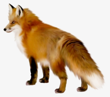 Free Baby Fox Clip Art with No Background - ClipartKey