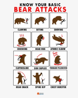 Basic Bear Attacks Shirt Axe & Bear Wares - Don T Argue With The Dm ...