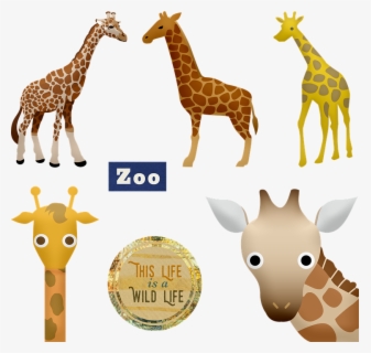 Transparent Zoo Animals Clipart - Giraffe , Free Transparent Clipart ...