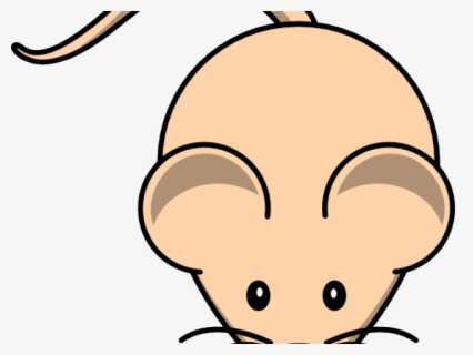 Free Computer Mouse Black And White Clip Art with No Background ...
