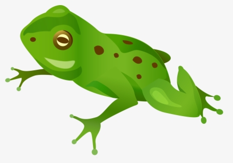 Download Frog Clip Art - Frog Drawing Transparent Background - ClipartKey