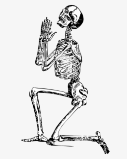 Free Skeleton Clip Art with No Background - ClipartKey