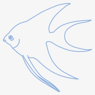 Simple Angelfish , Free Transparent Clipart - ClipartKey