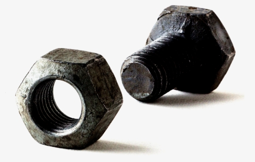 Free Nut Clip Art with No Background - ClipartKey