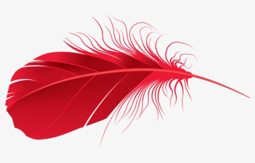 Free Feather Clip Art with No Background - ClipartKey