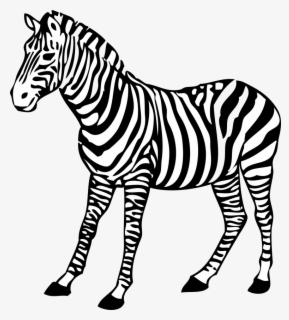 Free Animal Black And White Clip Art with No Background - ClipartKey