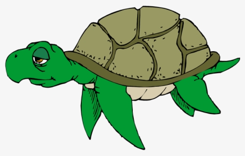 Sad Clipart Sea Turtle - Kawaii Turtle Drawing , Free Transparent ...
