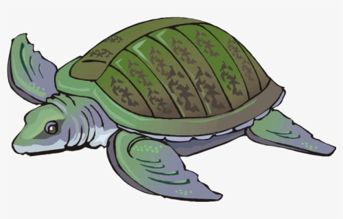 Free Turtle Clip Art with No Background - ClipartKey
