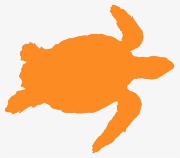 Free Turtle Clip Art with No Background - ClipartKey