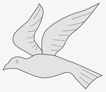 Line Art,arctic Tern,kite - Line Art , Free Transparent Clipart ...